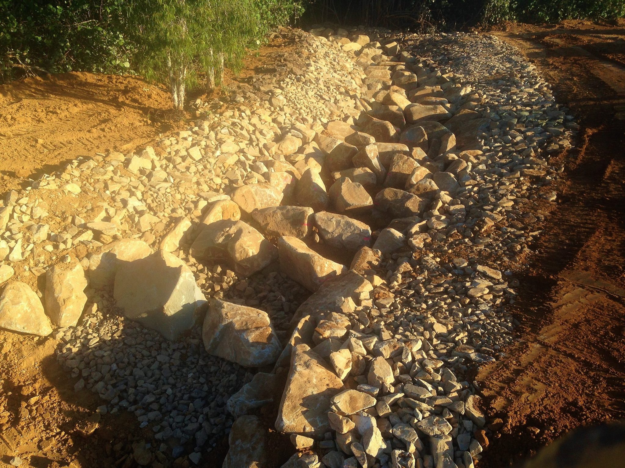 Fisheries & Aquatic Ecosystems - Catchment Solutions