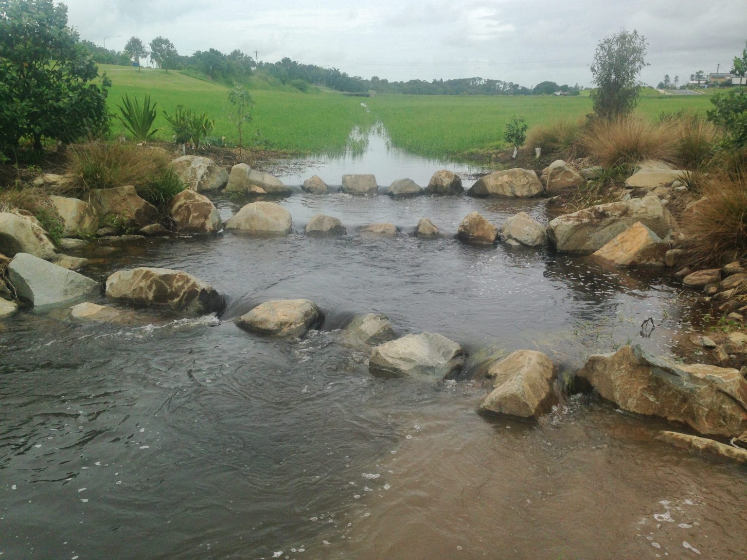 Fisheries & Aquatic Ecosystems - Catchment Solutions