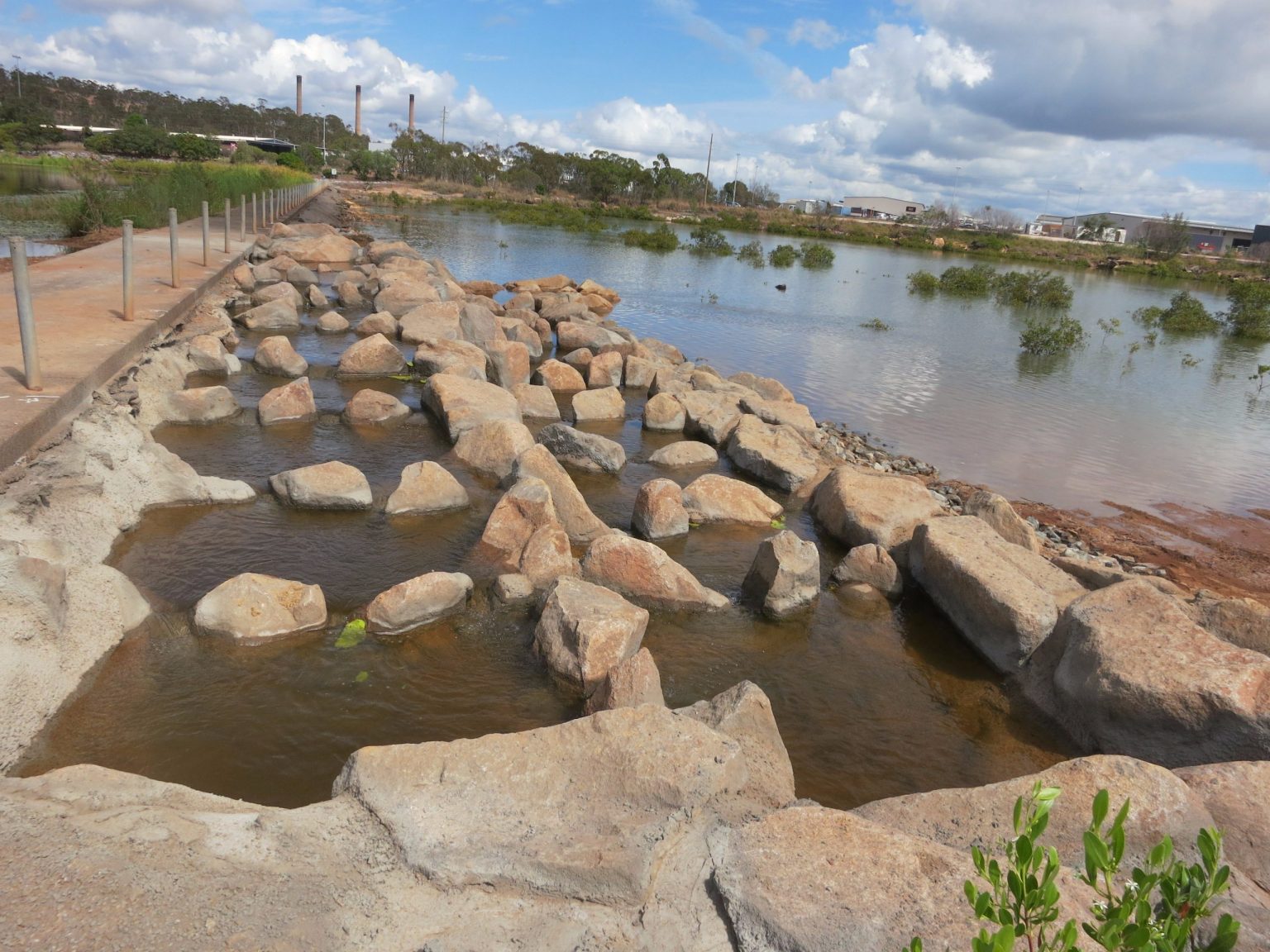 Fisheries & Aquatic Ecosystems - Catchment Solutions