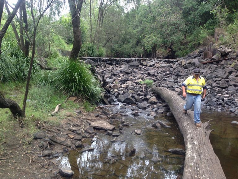 Bremer River (Berrys Weir) rock ramp fishway - Catchment Solutions