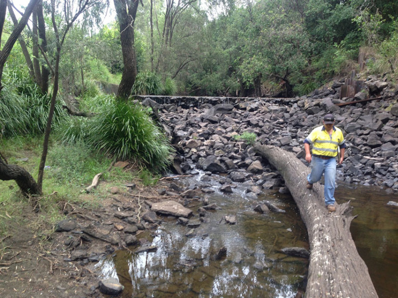 Bremer River (Berrys Weir) rock ramp fishway - Catchment Solutions