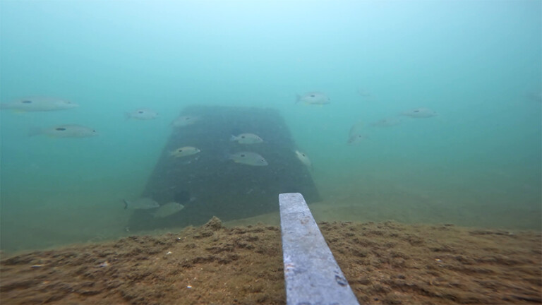 Habitat Reef Modules making news in Mackay - Catchment Solutions