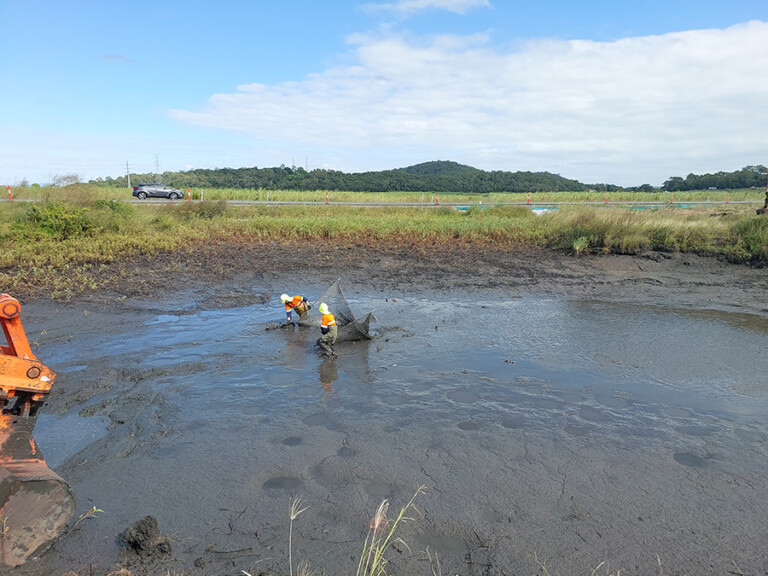 Responsible Fish Salvage in Construction Projects - Catchment Solutions