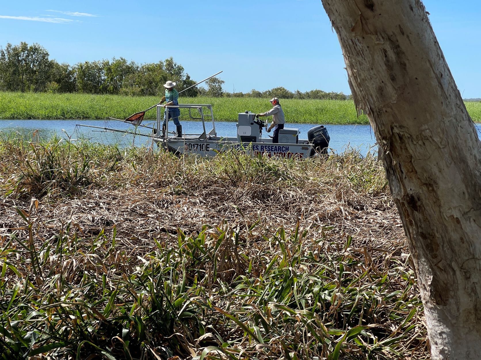 Finding the Balance Ponded Pastures Part 2 of a 3 part series ...