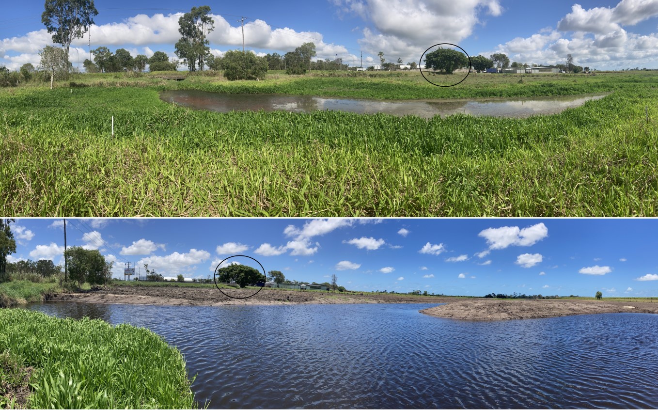 Macs Wetland: A Restoration Success Story - Catchment Solutions